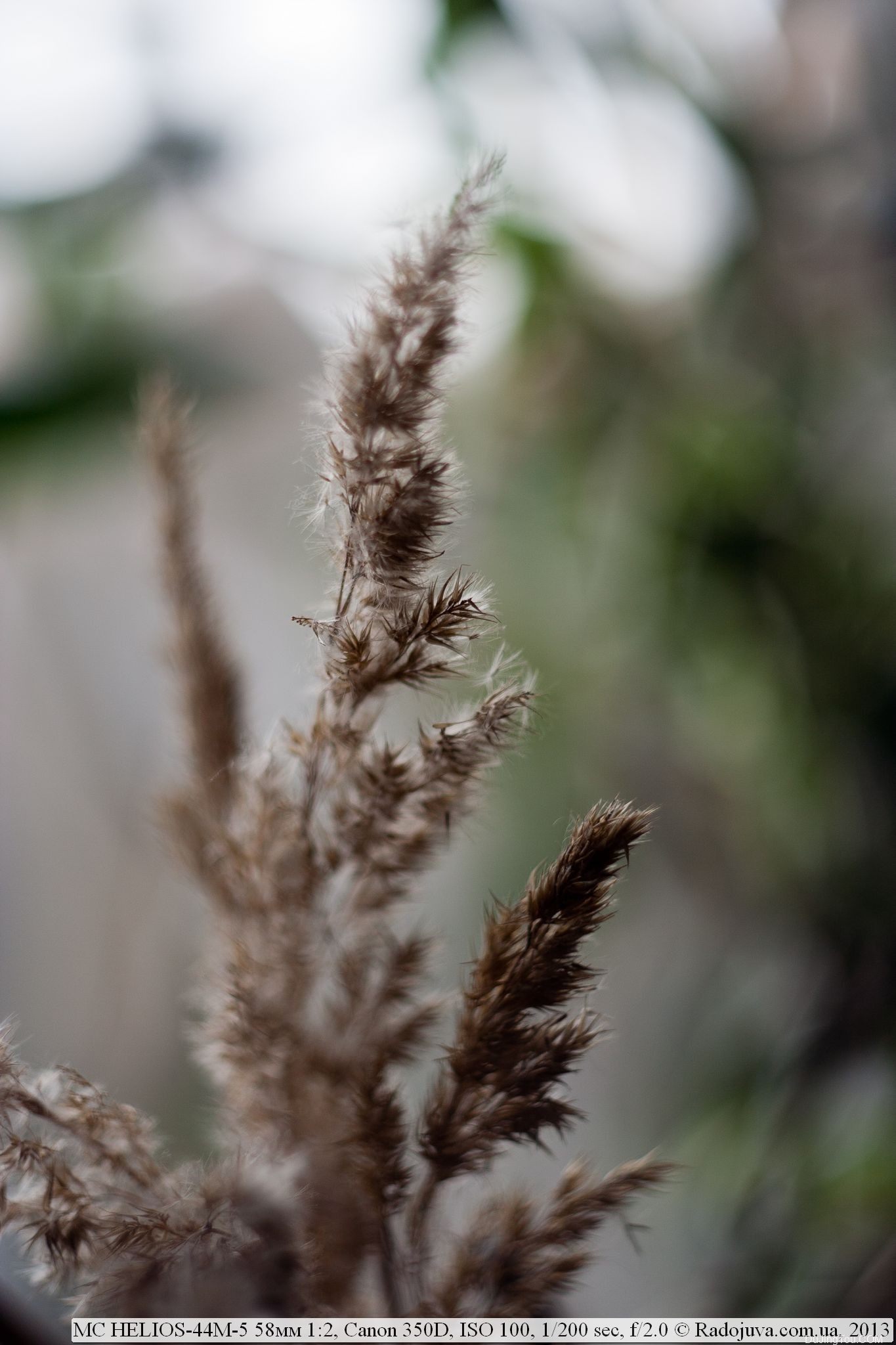 苏联镜头：MC Helios-44M-5 58mm 1: 2 Jupiter plant, Valdai, 6片光圈版本资料和样片 – 毒镜头